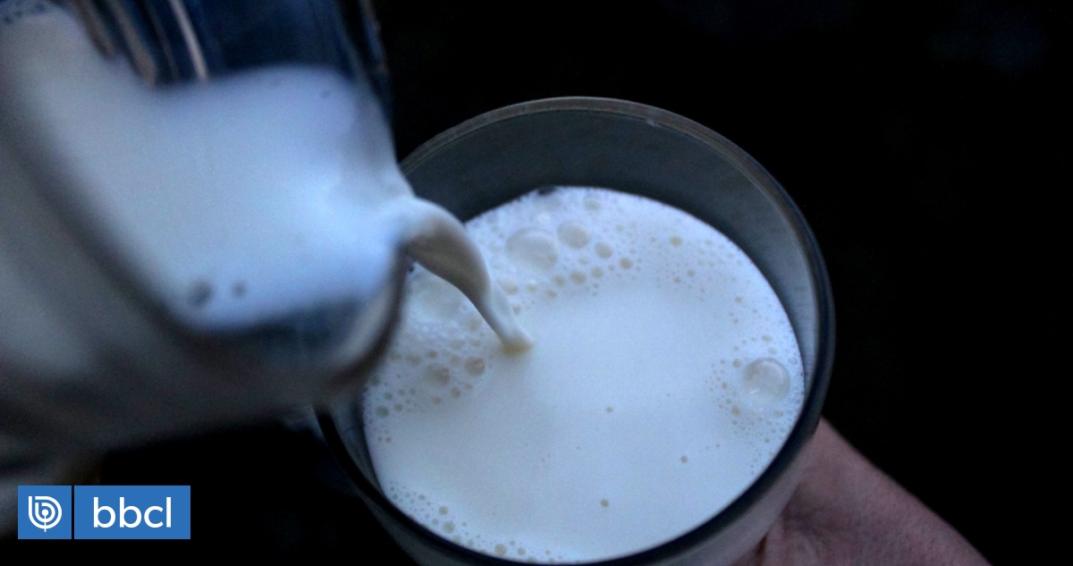 Advierten deficit en consumo de leche de chilenos: 100 litros menos al ...