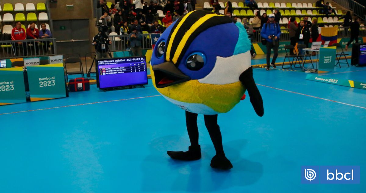 ¡Fervor por Fiu! Mayne-Nicholls anuncia gira por todo el país de la ...