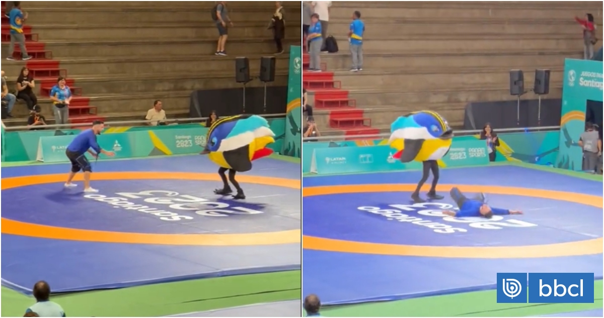 También quiere medalla: viralizan a Fiu luchando en Santiago 2023