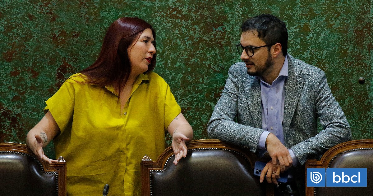 Powerpoint y focus group por $3 millones: asesor de diputado revela ...