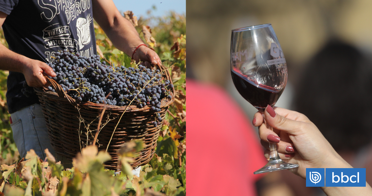 Preparen sus copas de vino: estos son los imperdibles panoramas en la ...