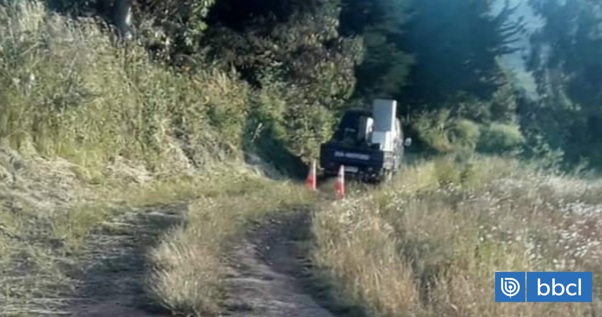 Niño de 5 años muere atropellado en sector rural de Carahue: conductor ...