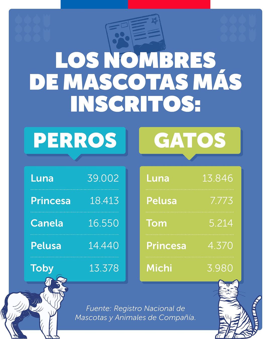 Registro Nacional de Mascotas revela nombres más populares de perros y ...
