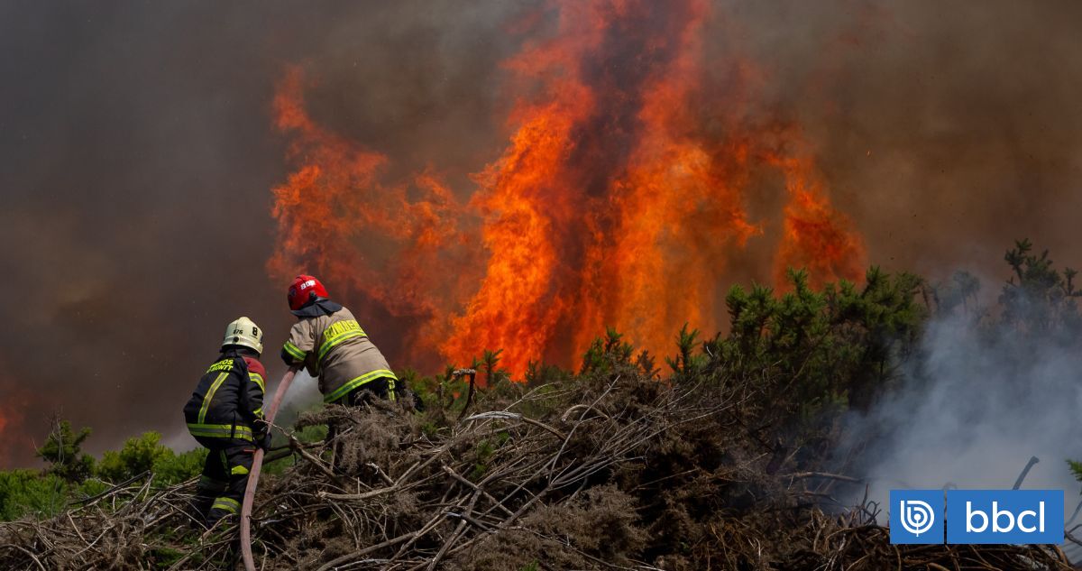 Incendios forestales en Los Lagos: superficie arrasada supera en un 200 ...