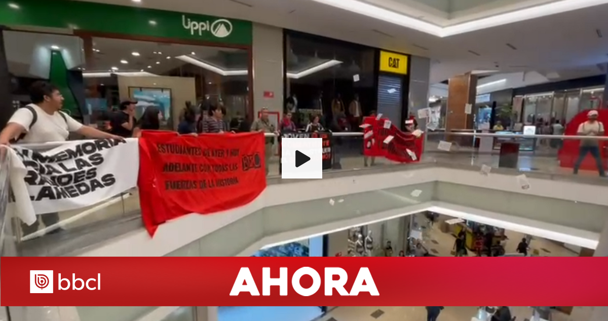 Protesta en céntrico mall de Concepción marca conmemoración del día del ...