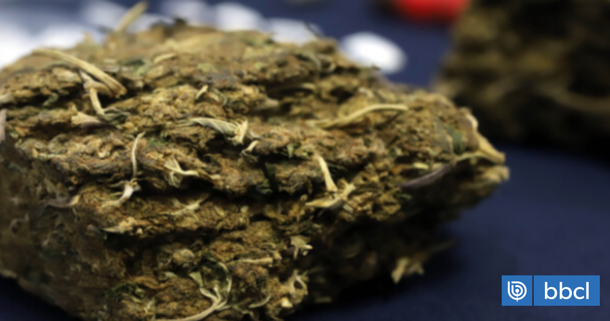 Detienen a conductor que circulaba con más de 4 kilos de marihuana