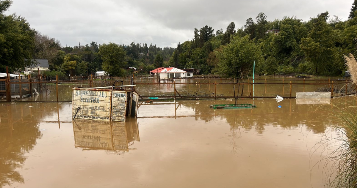 Evacúan a una veintena de personas en sector Santa Rita por desborde de ...