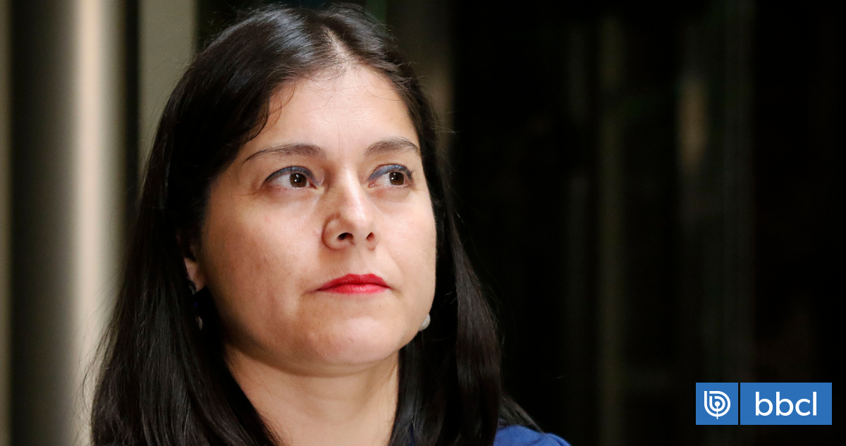 Tras tomas en provincia de Bío Bío: diputada Medina pide a Mineduc fiscalizar recintos con daños ...