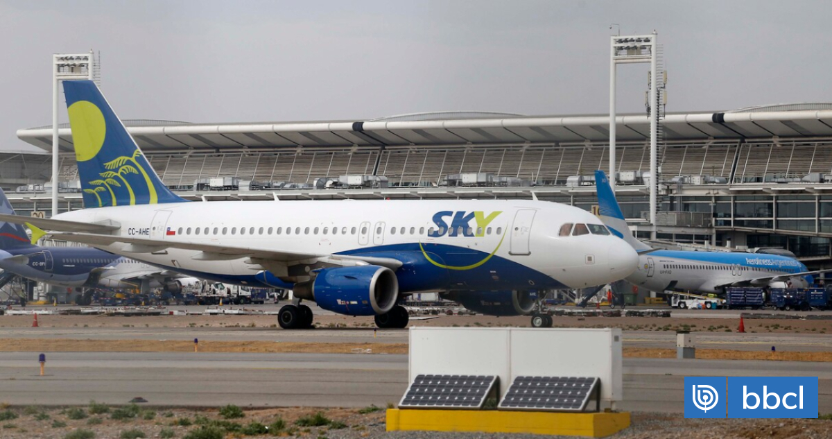 Pedirán Citar A Aerolíneas A La Comisión De Discapacidad Tras Denuncia