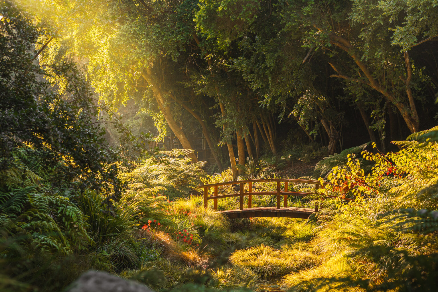 Parque Tricao: así es el destino natural de Chile elegido como uno de los más populares del ...