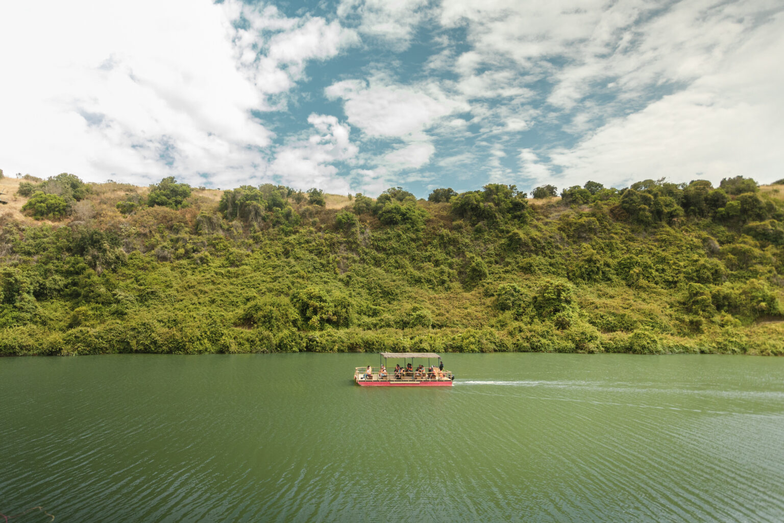 Parque Tricao: así es el destino natural de Chile elegido como uno de los más populares del ...