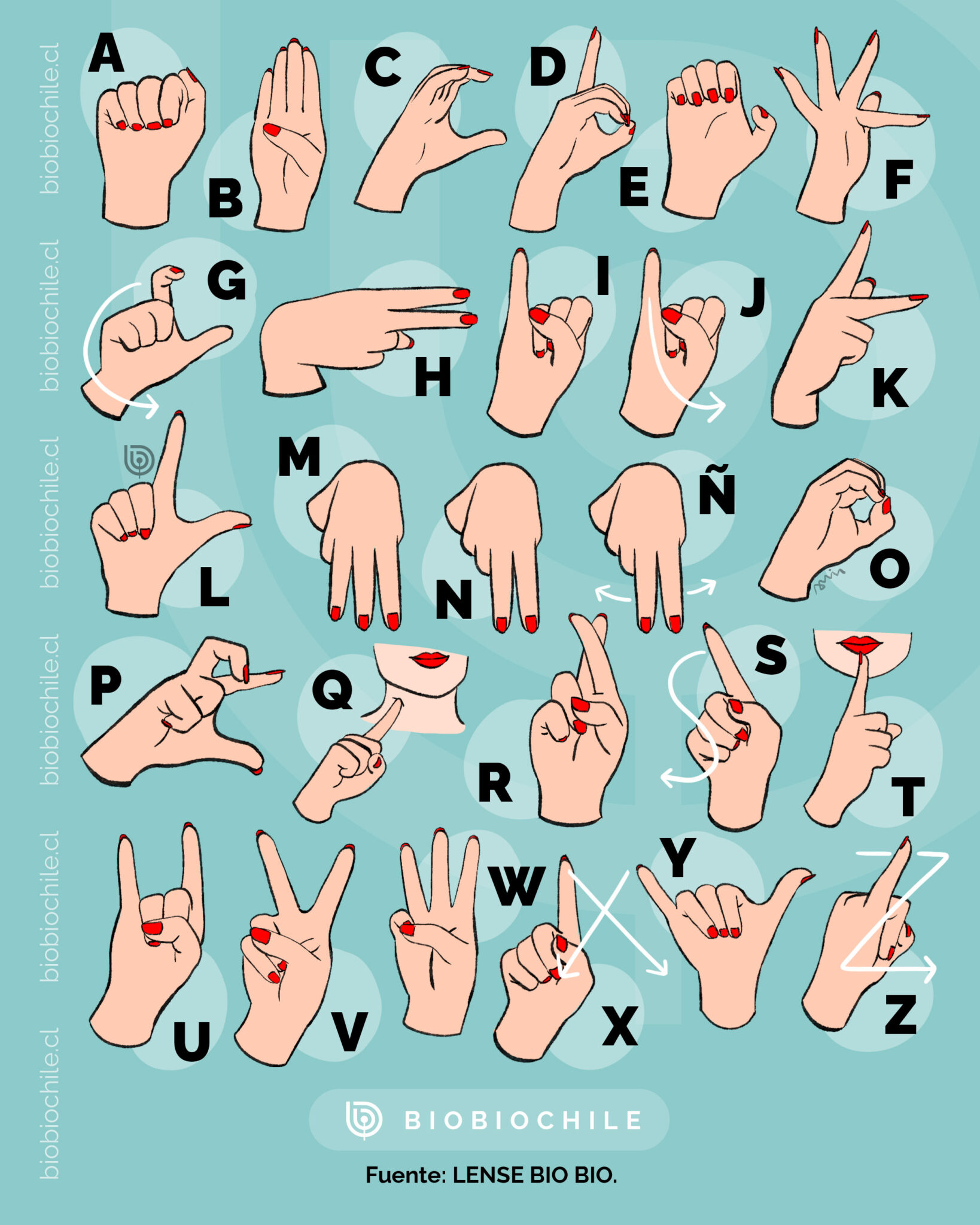 12 palabras en Lengua de Señas Chilena que deberías aprender, ¿te sabes ...