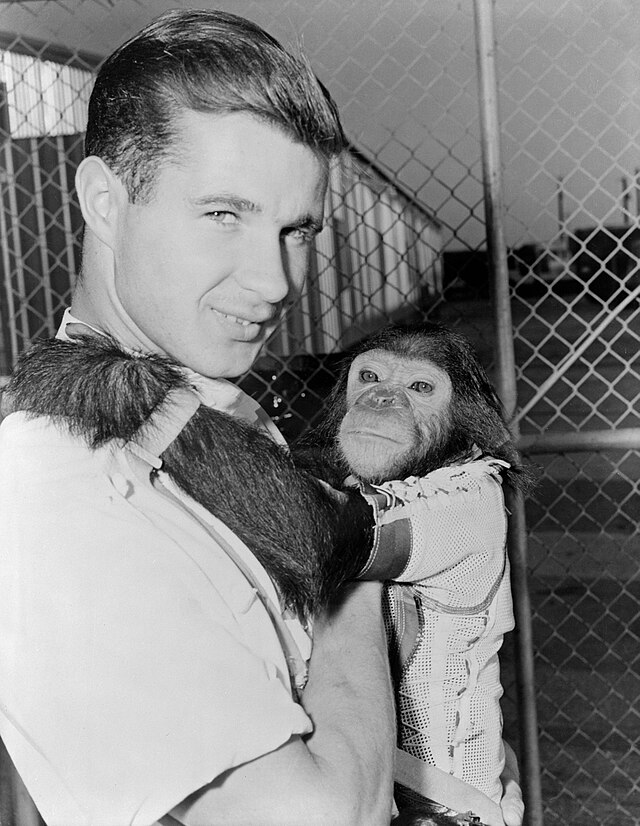 La historia de Enos, el primer chimpancé que sobrevivió un viaje al espacio