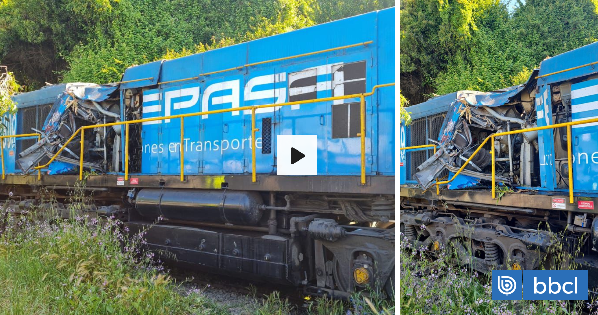 Árbol cae sobre tren de carga en cercanías de túnel en sector ...