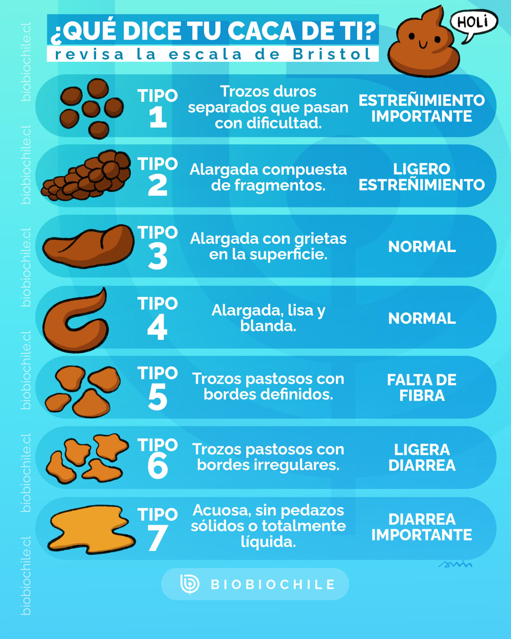 Tabla de Bristol: por qué es importante observar el color de tus ...