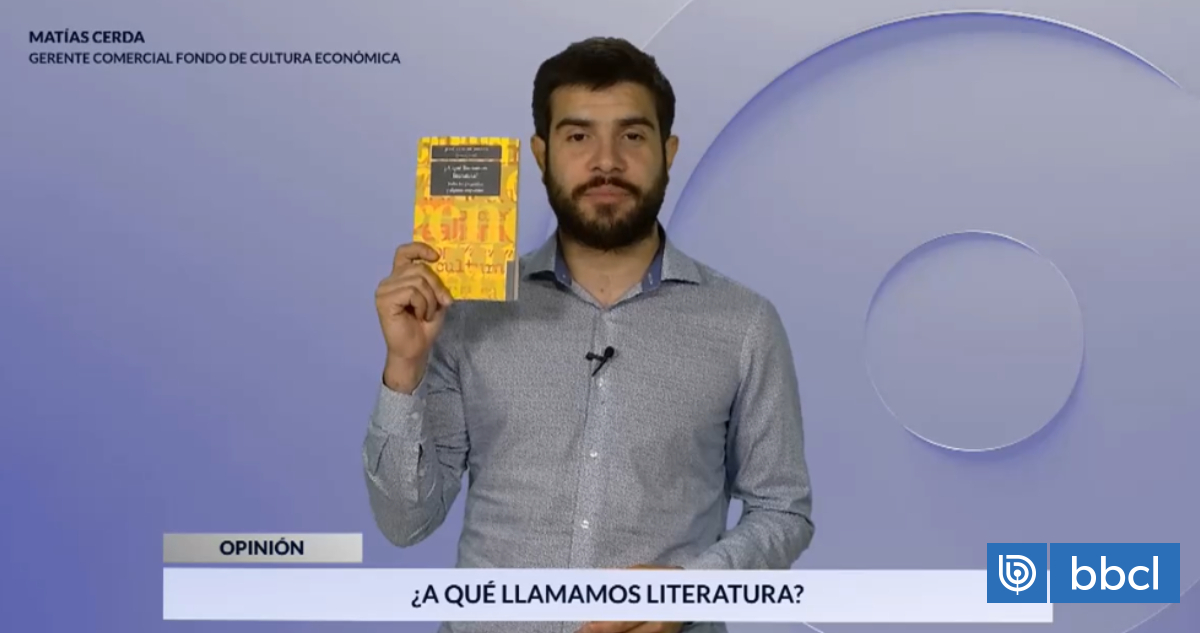 Comentario literario con Matías Cerda: "¿A qué llamamos literatura?", de José Luis de Diego ...