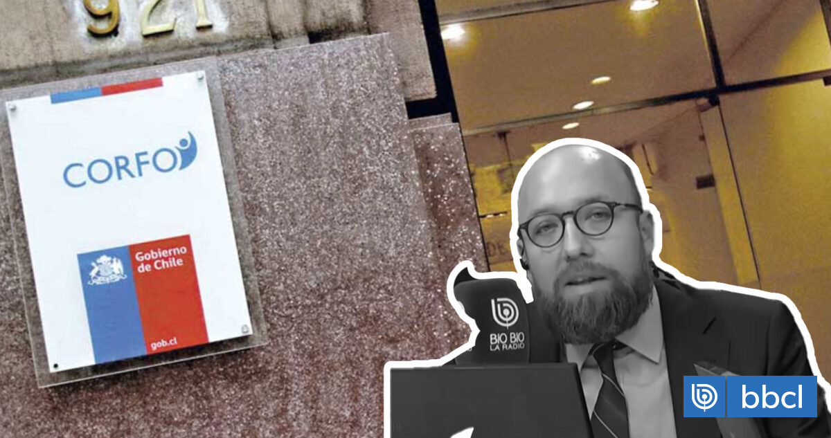 Causa y Efecto: venta de bienes de Corfo genera dudas sobre el uso de ...