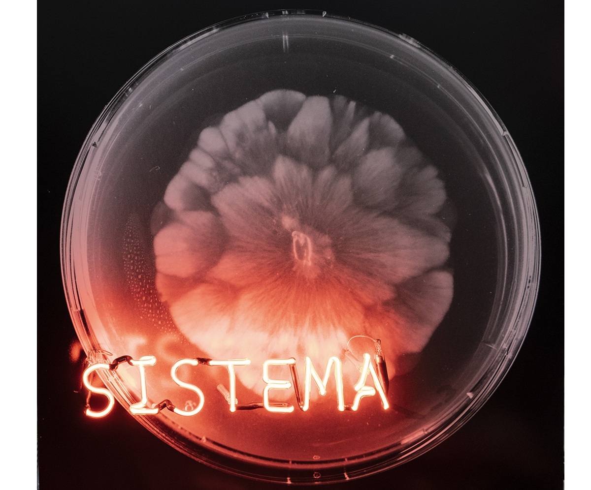 Máximo Corvalán-Pincheira: "Chile, la tensión entre memoria, olvido ...