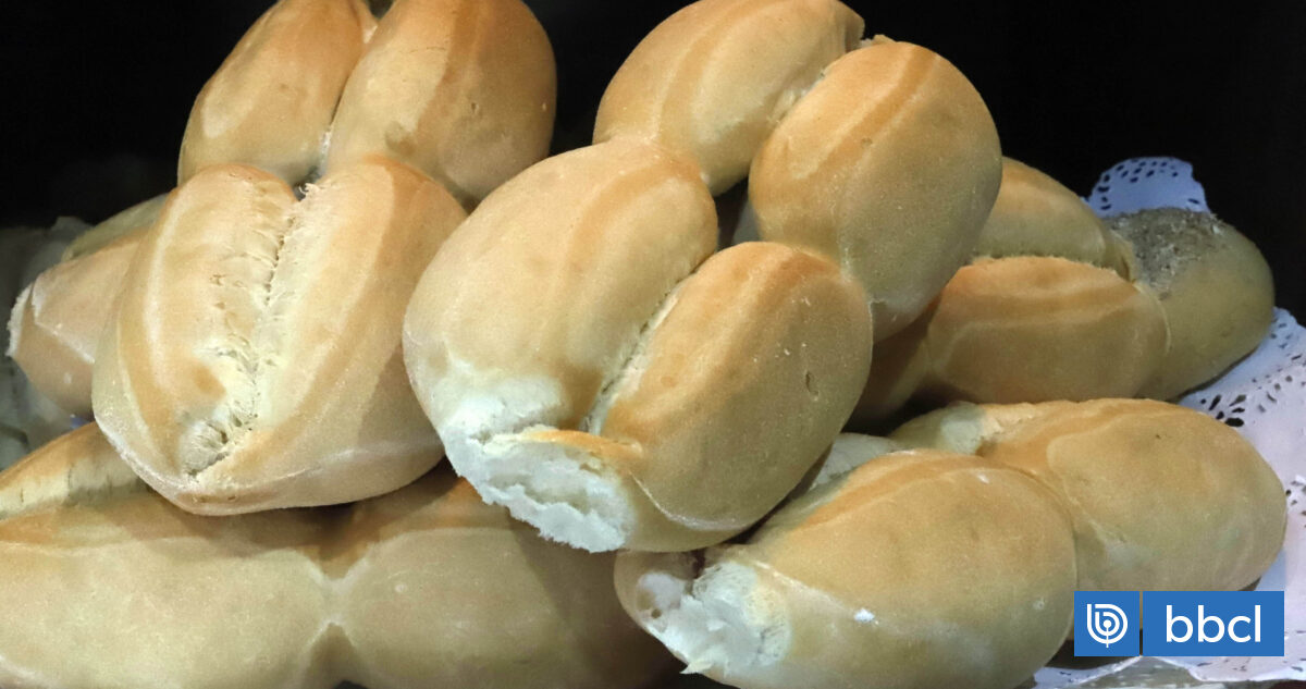 "Advertimos que está prohibido por ley": Fechipan condena colusión del ...