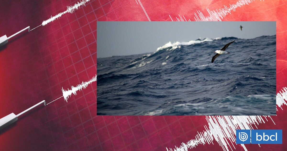 Delegada dice que "estamos en fase de precaución" por tsunami en ...