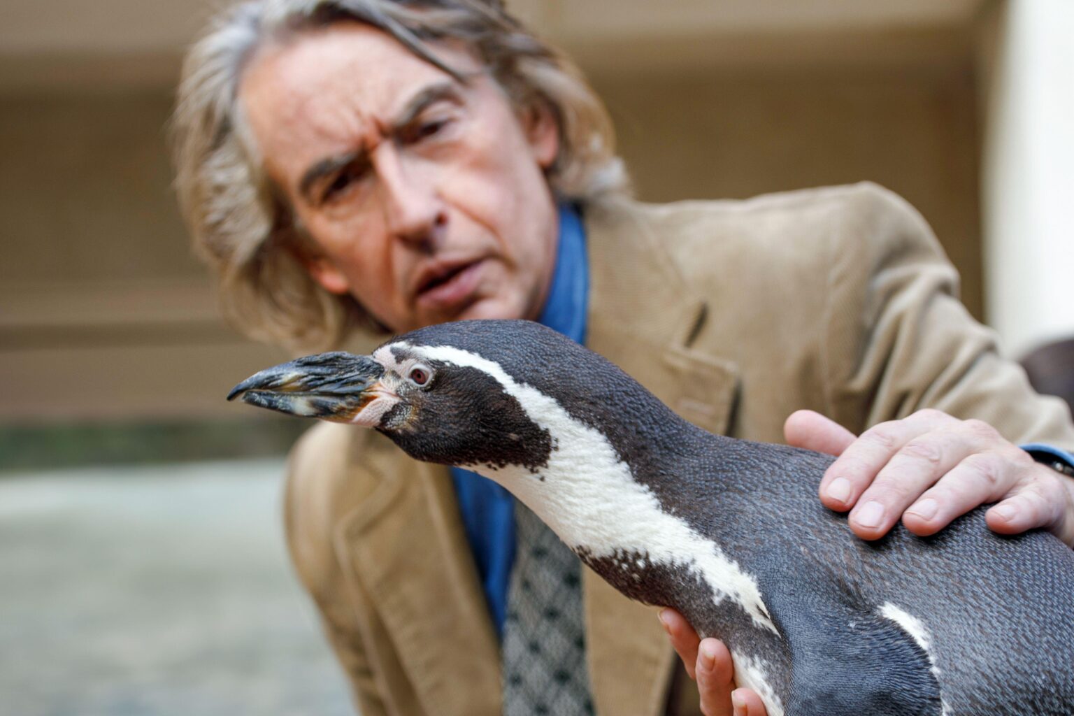 La increíble amistad de un profesor y un pingüino: la historia inspiró ...