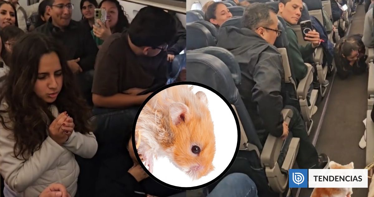 Marthitha astorga videos porno so be ready!! Ava is a