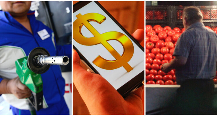 Neo the one nude she is lovely and I am confident I’ll see