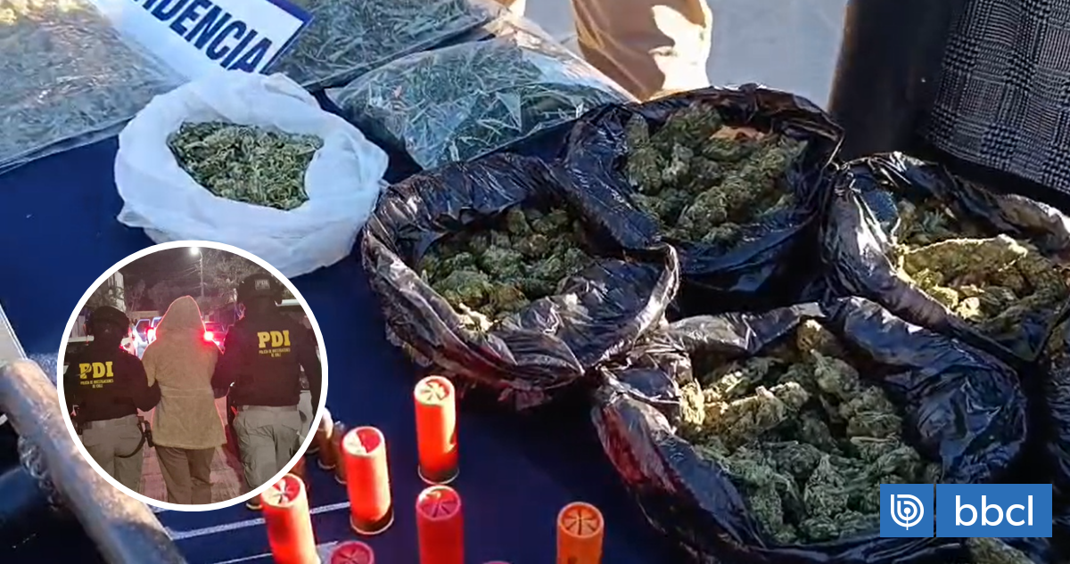 Masiva incautación de armas, drogas, municiones y vehículos deja 22 detenidos en Valle del ...