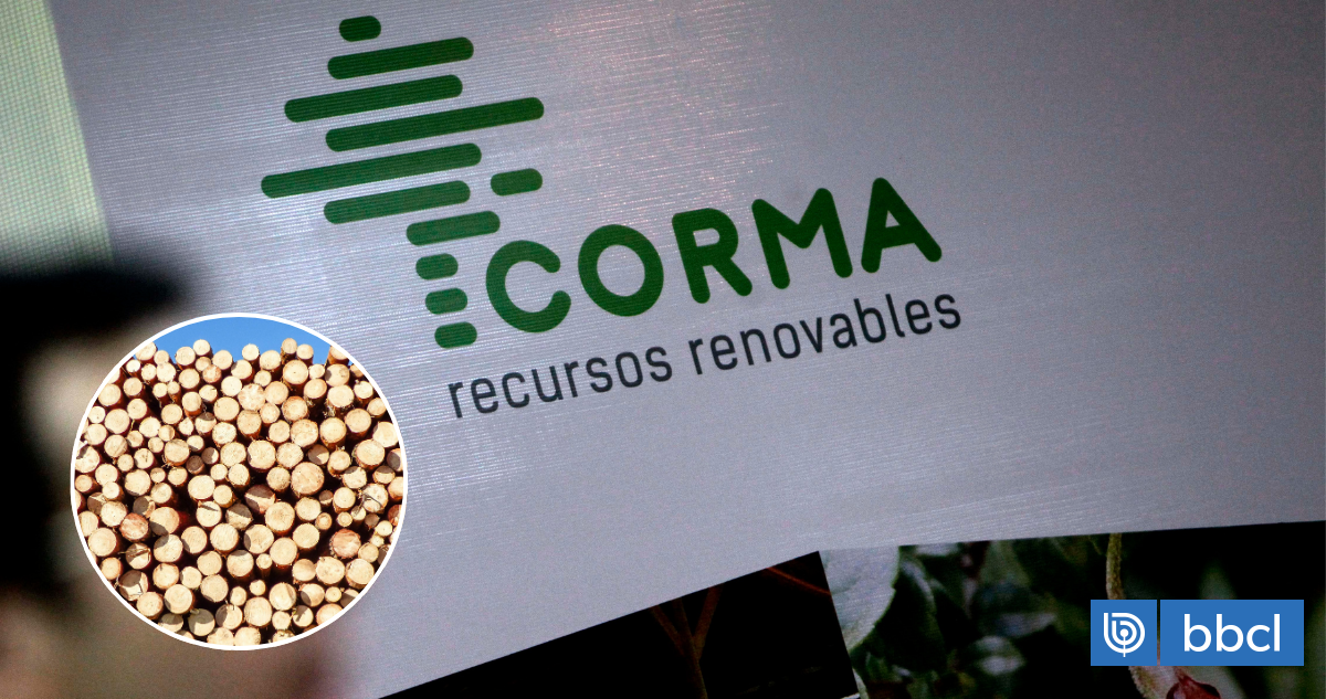 Corma manifiesta preocupación por Pymes ante nuevo arancel a la madera anunciado por Donald ...