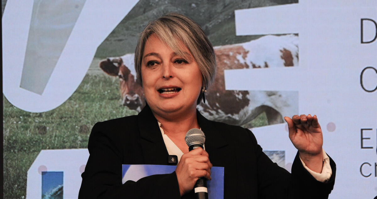 Jara insiste en su crítica al polémico video musical de Matthei: "No le encontré ningún brillo ...