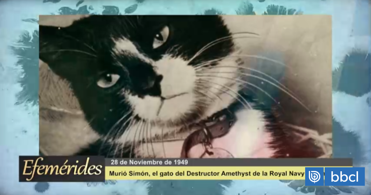 Efemérides: 28 de Noviembre de 1949 Murió Simón, el gato del Destructor ...
