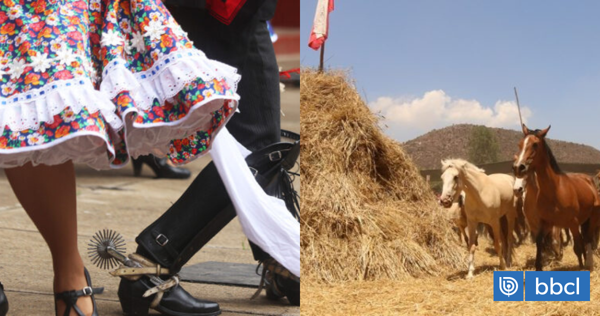 El folclore de Expo Gorbea y la Trilla a Yegua Suelta: destacan entre ...