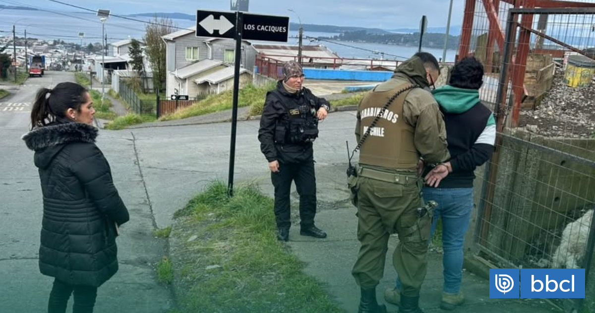 Detienen a una persona por presunto maltrato animal en Quellón: fue ...